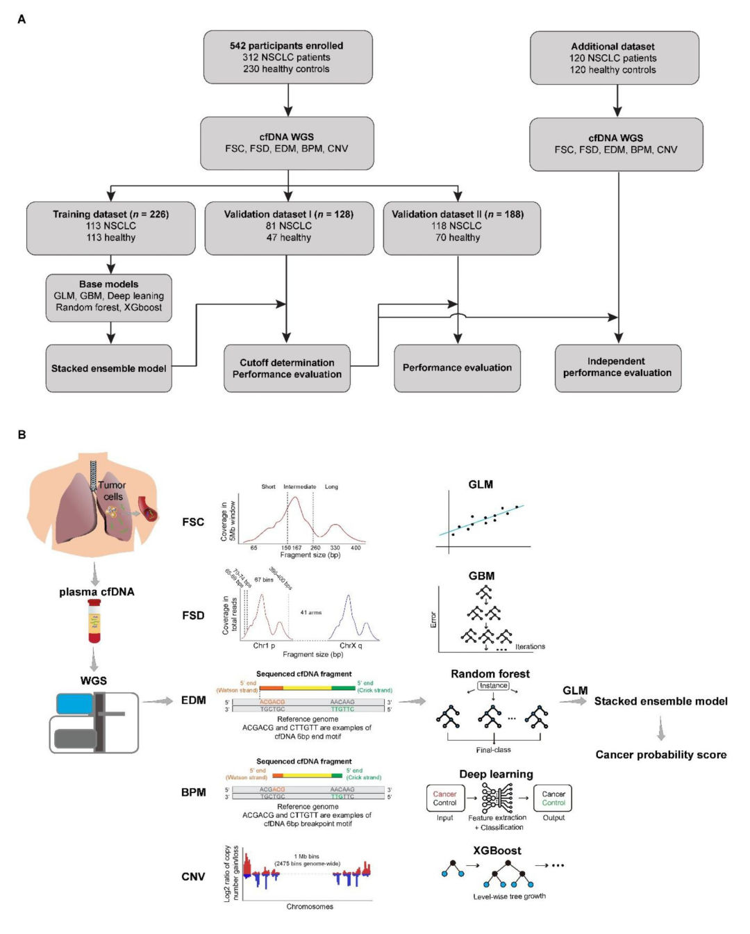 【IF=30.5】世和多组学肺癌早筛研究登陆呼吸科顶刊AJRCCM - 世和基因